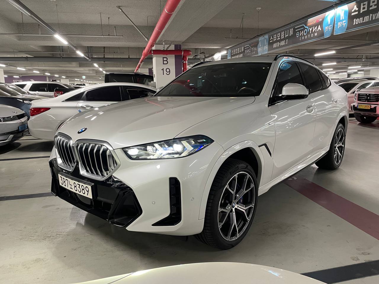 BMW X6 (G06) xDrive 30d M Sport - AB Korea