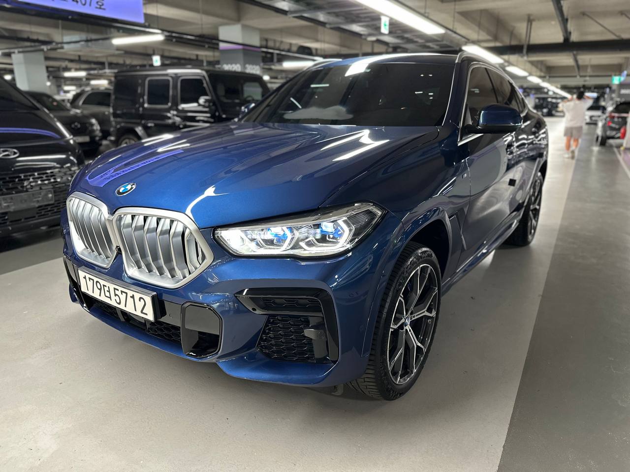 BMW X6 (G06) xDrive 30d M Sport - AB Korea
